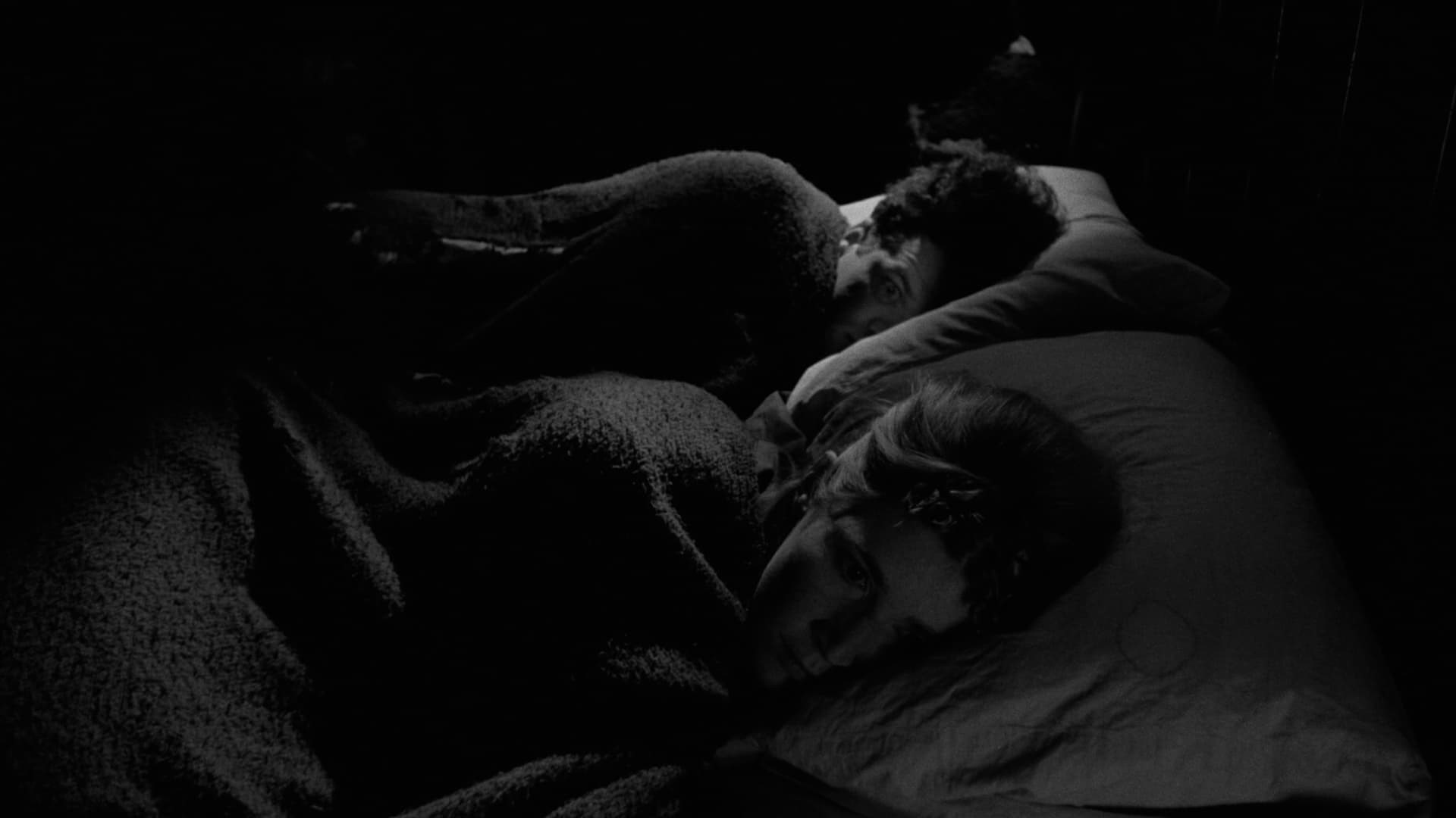 Eraserhead | Palace Nova